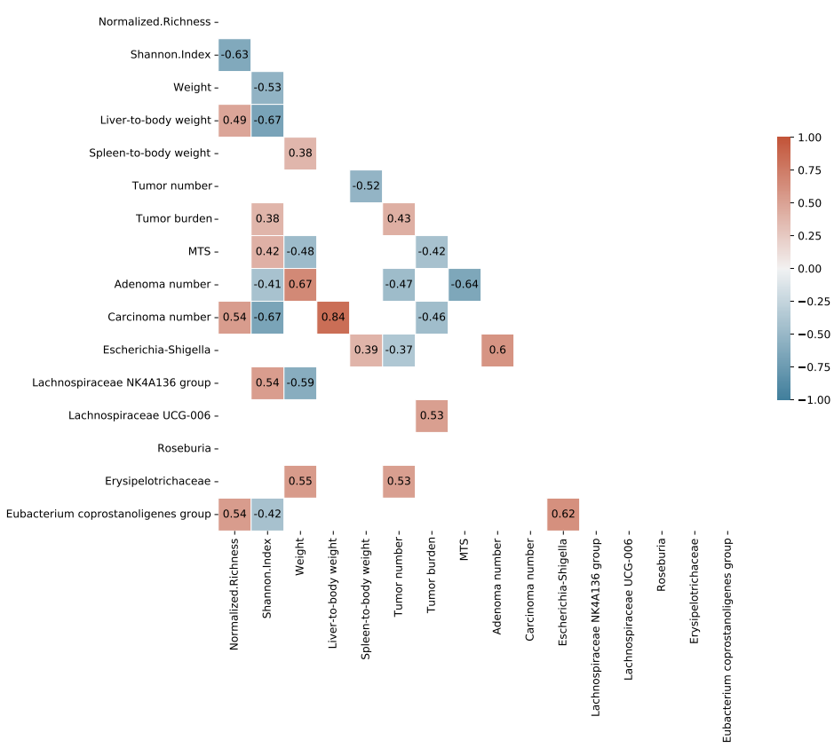 GitHub - hallerfelix/Correlation-Matrix: This code performes an ...