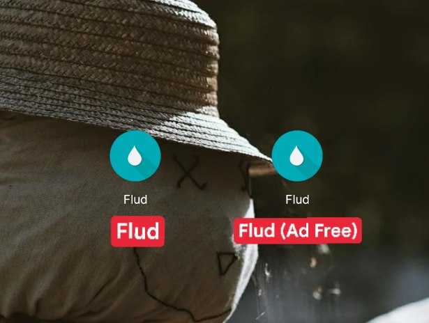 [BUG] Flud (Ad Free) merged in PR #658 but showing normal icon in debug ...