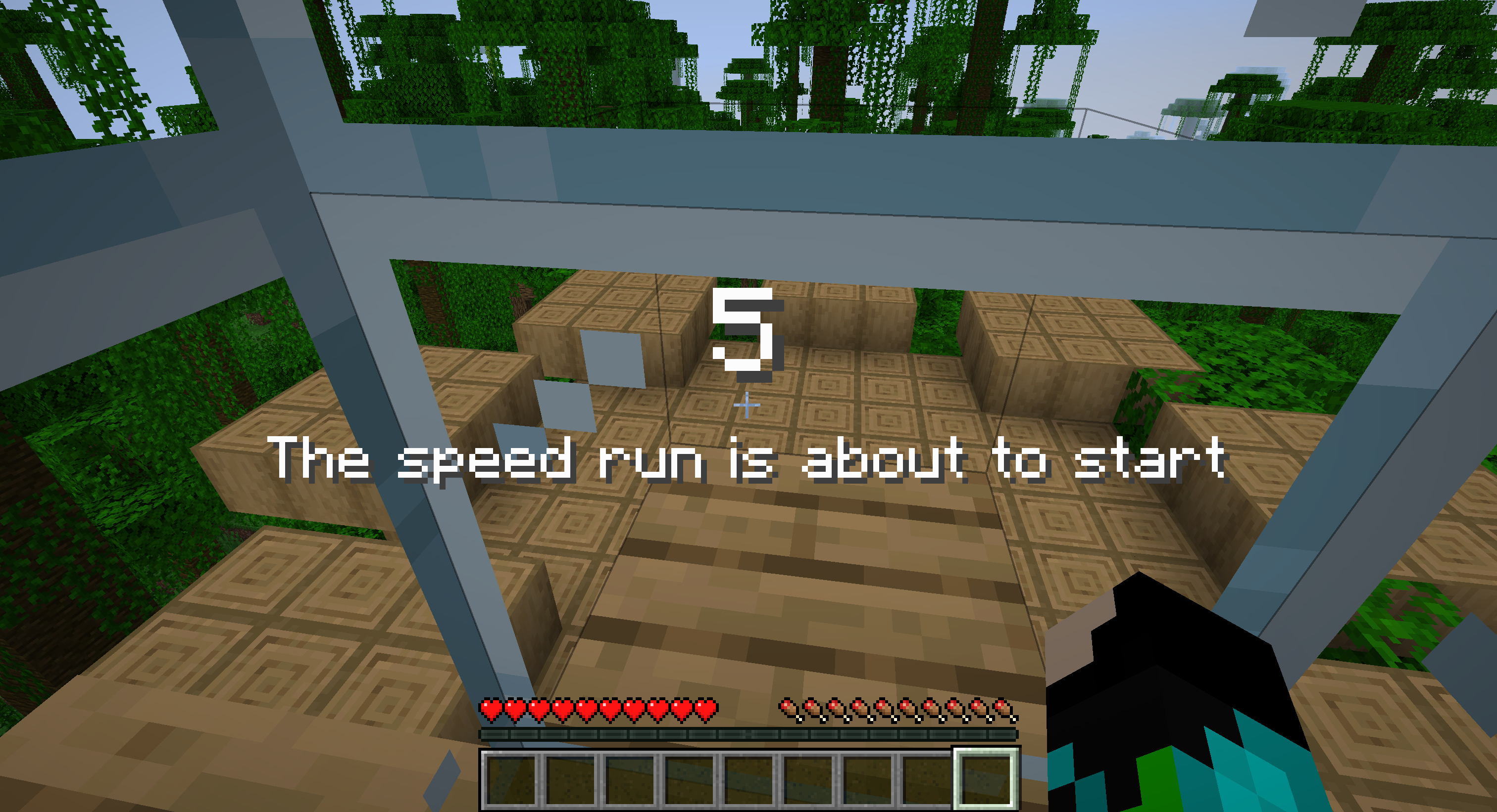 GitHub - Flodreey/Minecraft-Speedrun-Plugin: A Minecraft Plugin that ...