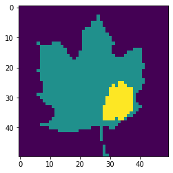 GitHub - selinawaang/Image-Segmentation-for-Leaf-Disease-Detection