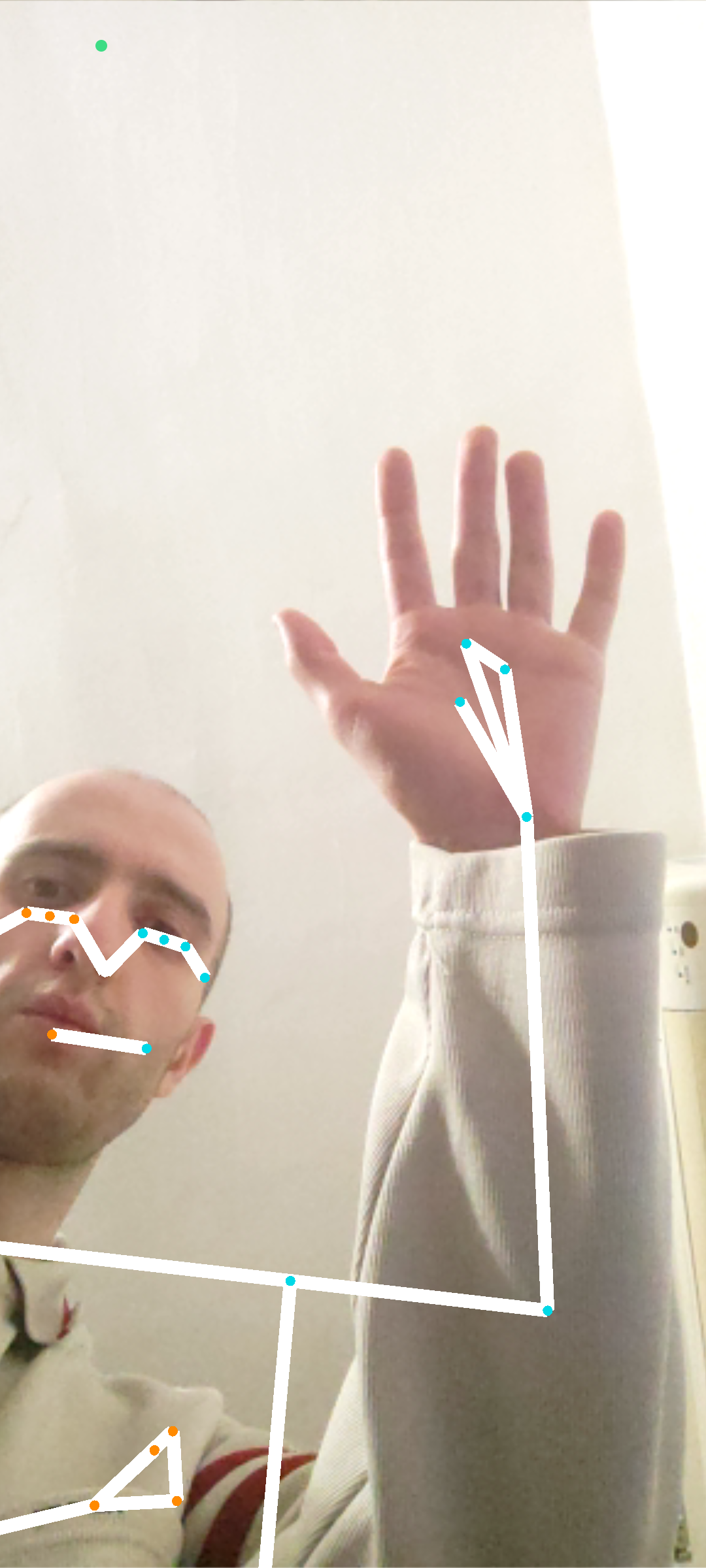 Screen orientation issue · Issue #1 · portari/MediaPipeUnityPlugin_PoseSampleGPU_Android · GitHub