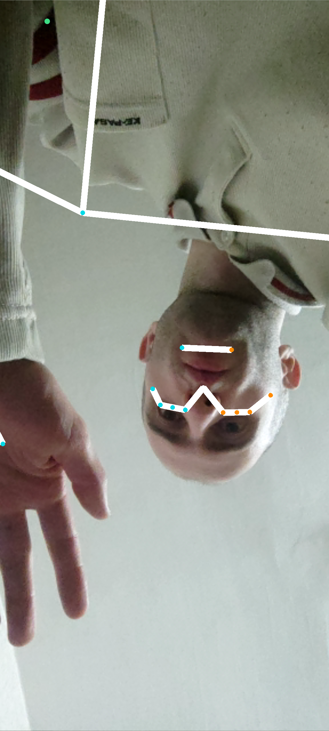 Screen orientation issue · Issue #1 · portari/MediaPipeUnityPlugin_PoseSampleGPU_Android · GitHub