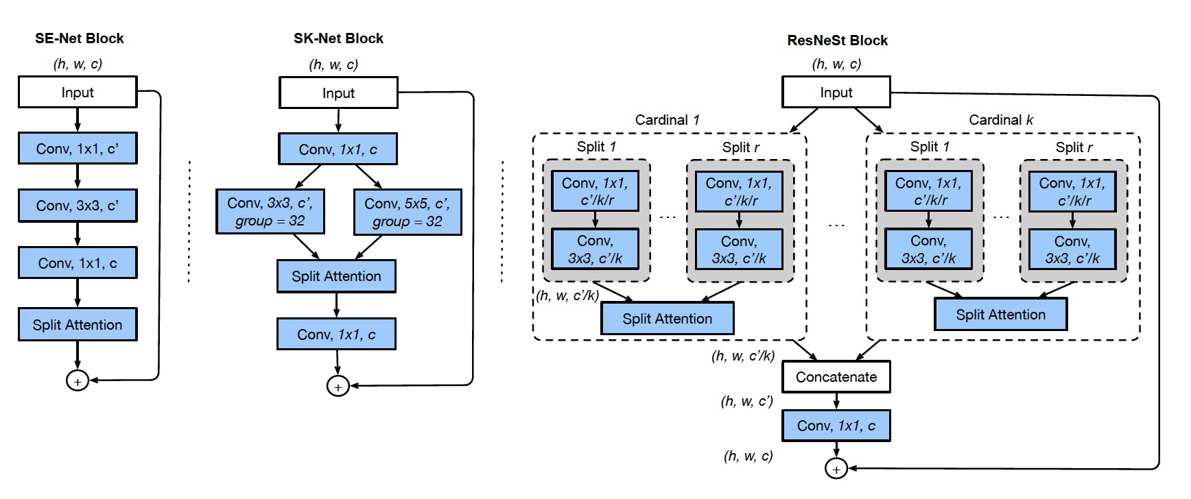 Similar to the attention of SKNet. · Issue #4 · zhanghang1989/ResNeSt · GitHub