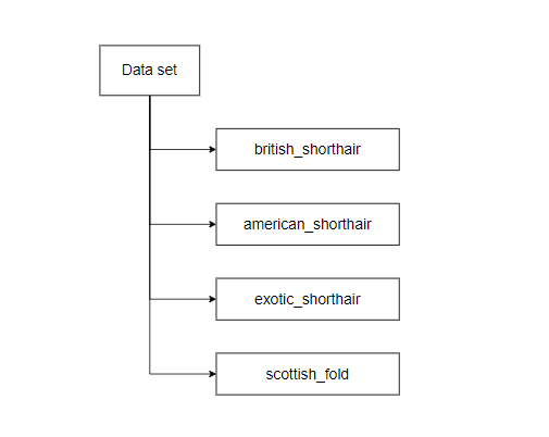 GitHub - BPhanuphong/Cat-breed-images-classification