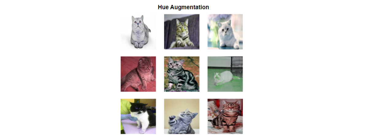 GitHub - BPhanuphong/Cat-breed-images-classification