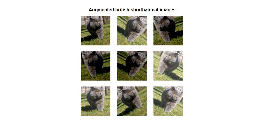 GitHub - BPhanuphong/Cat-breed-images-classification