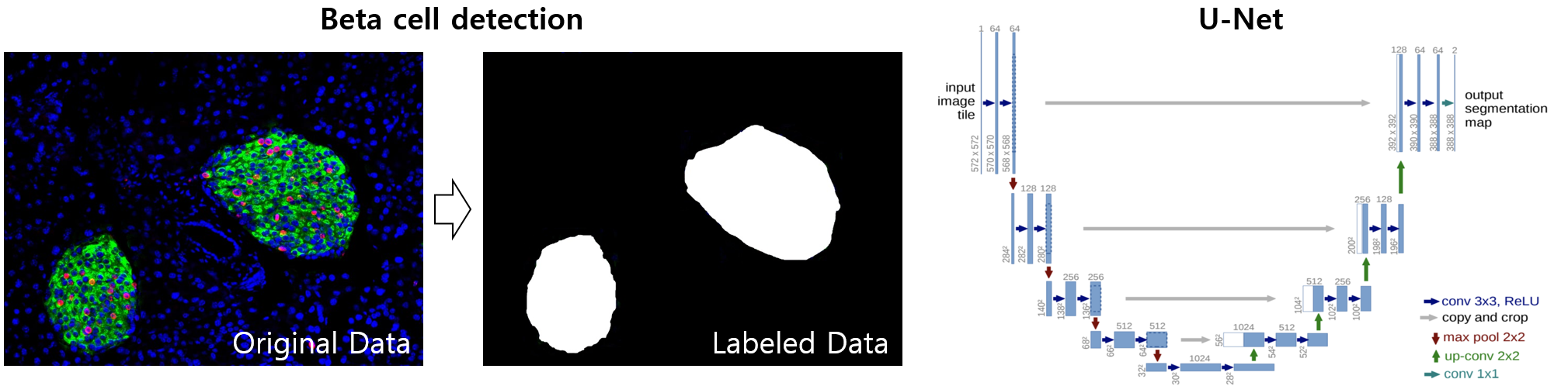 GitHub - HBNU-SWUNIV/COME-CAPSTONE22-icis: COME-CAPSTONE22-icis created by GitHub Classroom