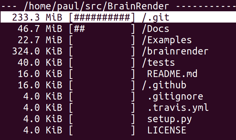 Consider pruning your git history · Issue #74 · brainglobe/brainrender · GitHub
