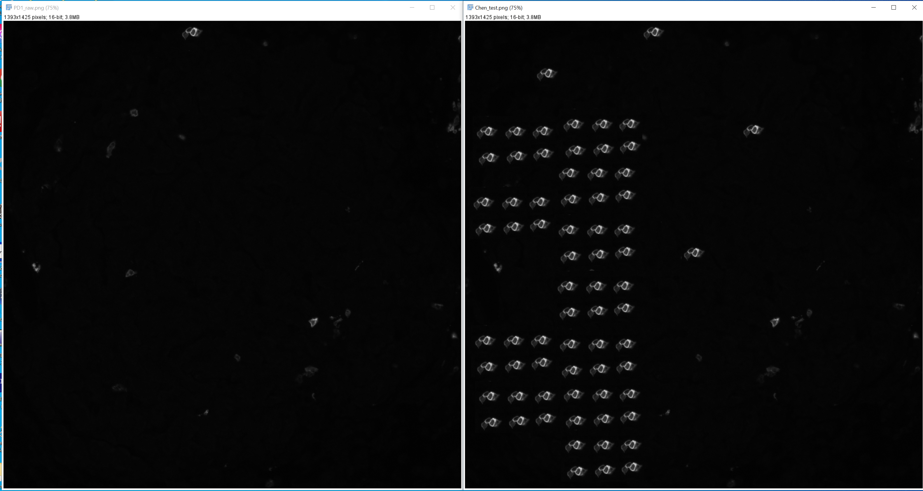 Missing most cells in sparsely populated image [BUG] · Issue #645 · MouseLand/cellpose · GitHub