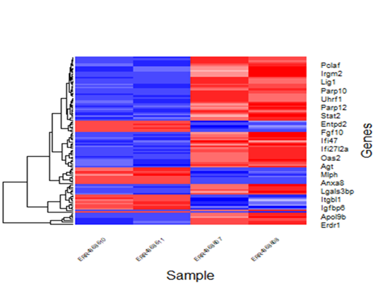 GitHub - JenellLewis/MIF-and-Arthritis