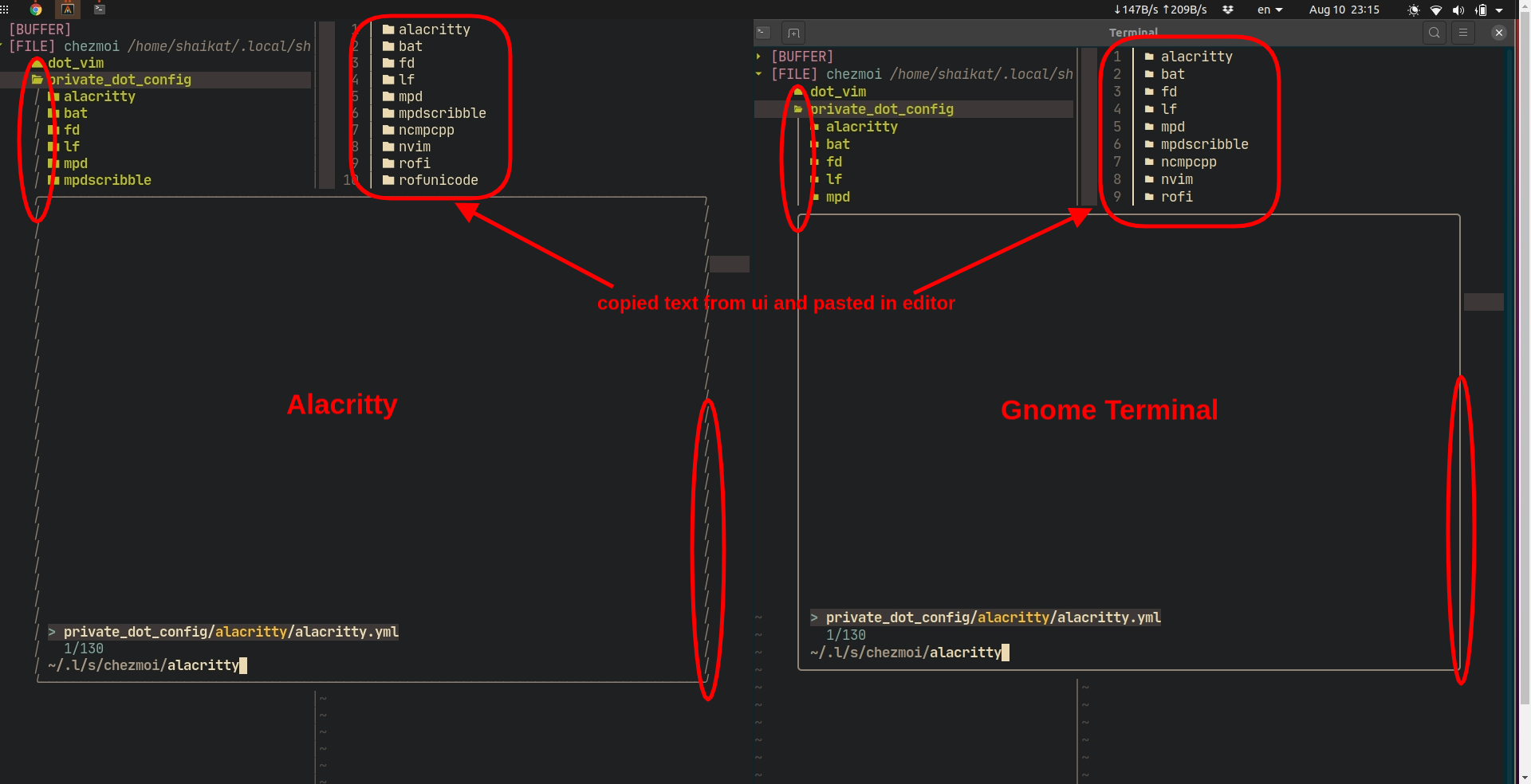 character is rendered as italic in vim · Issue #4106 · alacritty/alacritty · GitHub