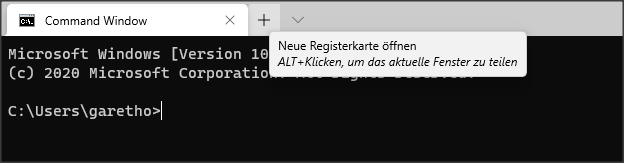 Terminal UI appears in German when using English UK as default · Issue ...