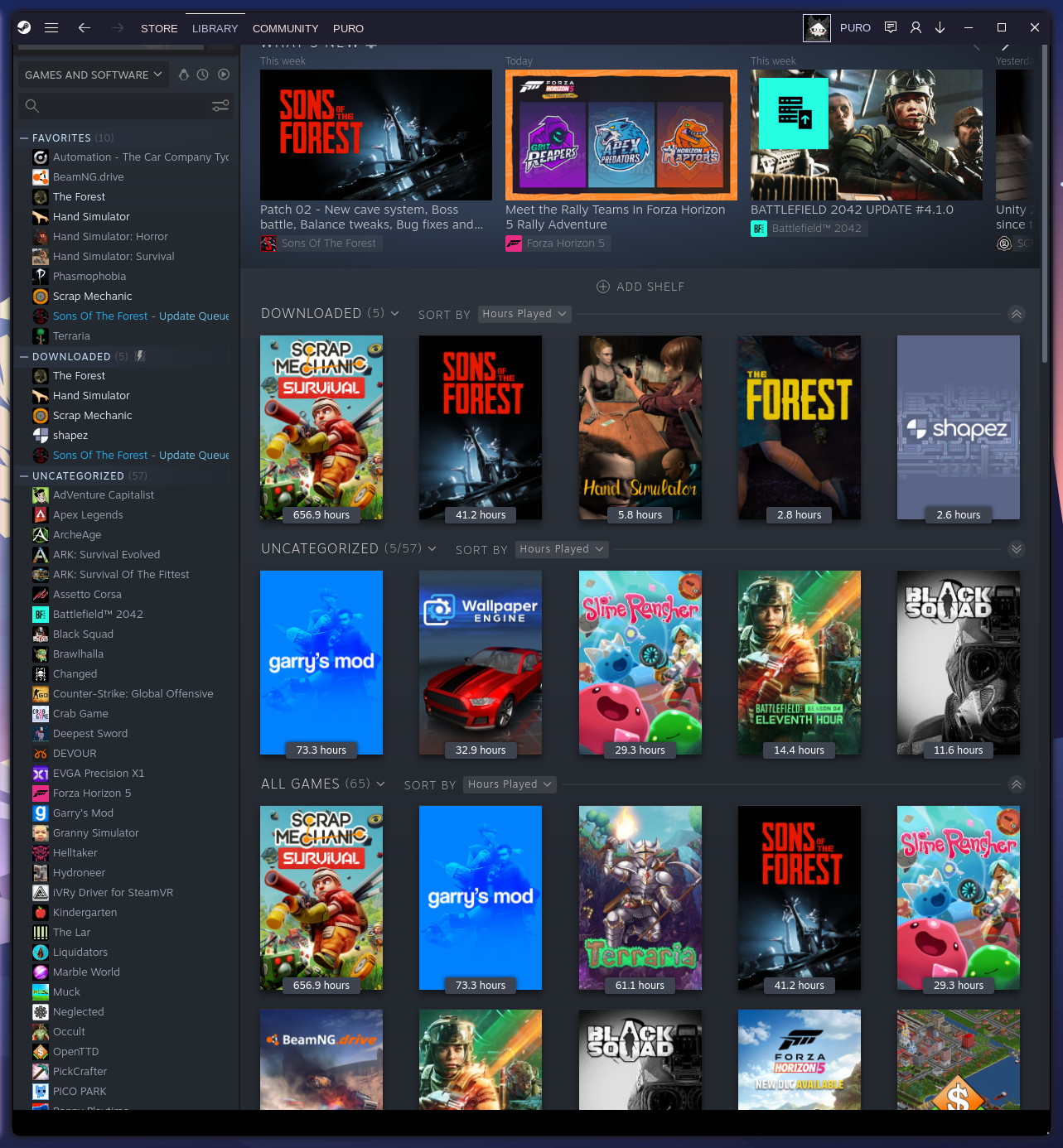 The theme doesn't seem to want to work in the library. · Issue #18 · catppuccin/steam · GitHub