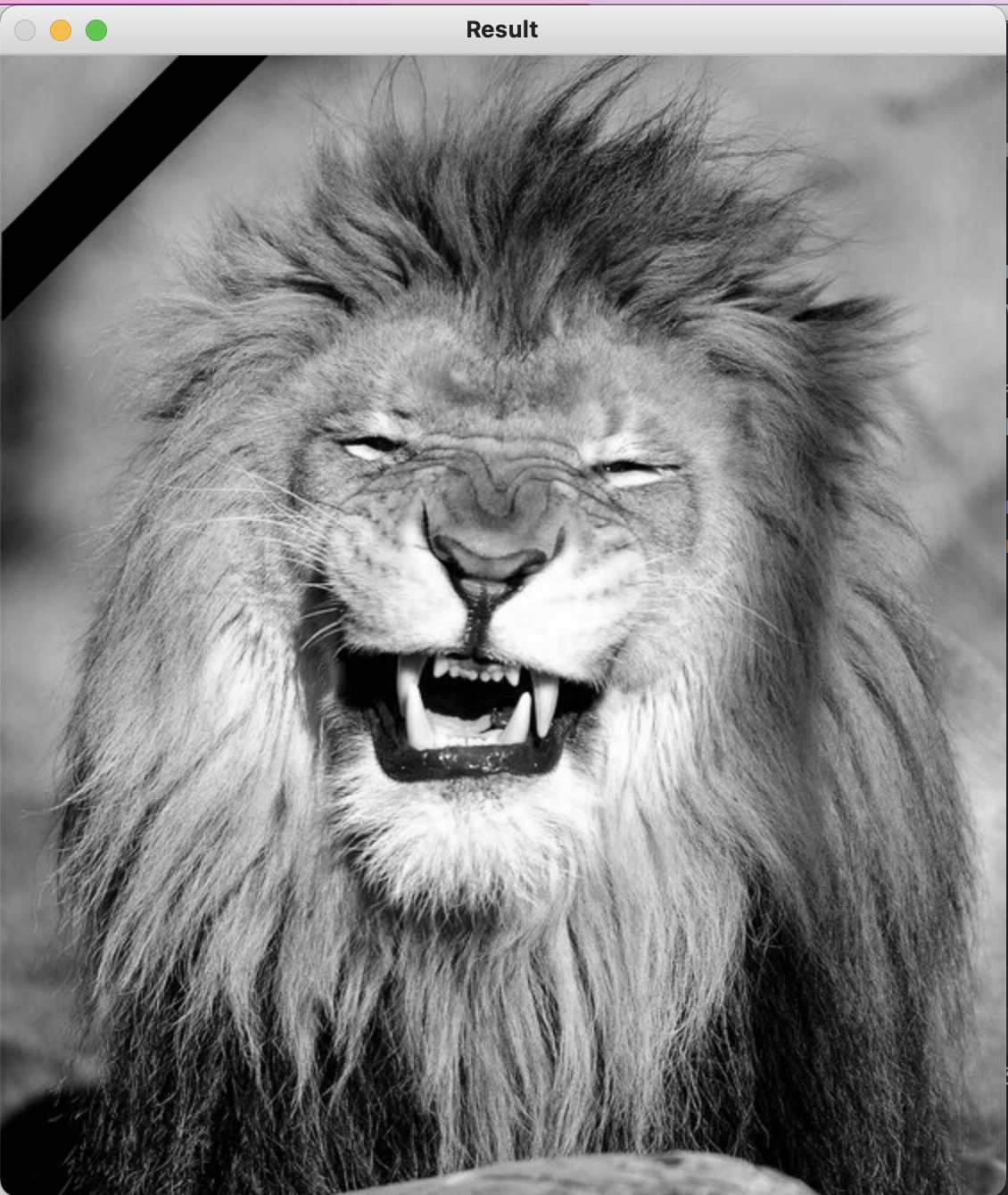 GitHub - Na3r94/Assignment21