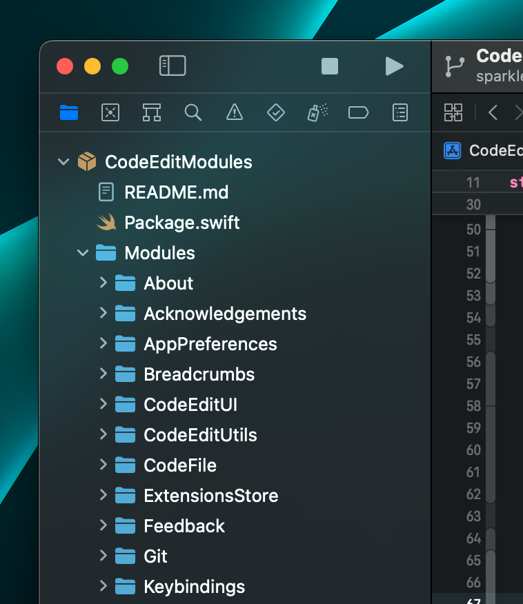 🐞 Folder Icons Need to be Blue in Project Navigator · Issue #771 · CodeEditApp/CodeEdit · GitHub