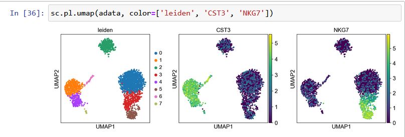 Incorrect clustering on PBMC tutorial. · Issue #2471 · scverse/scanpy ...