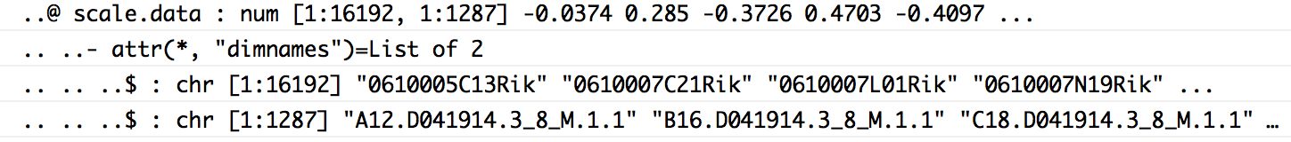 Export to HDF5-type files · Issue #206 · satijalab/seurat · GitHub