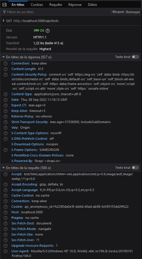 No Cors Headers · Issue 14357 · Strapi Strapi · Github
