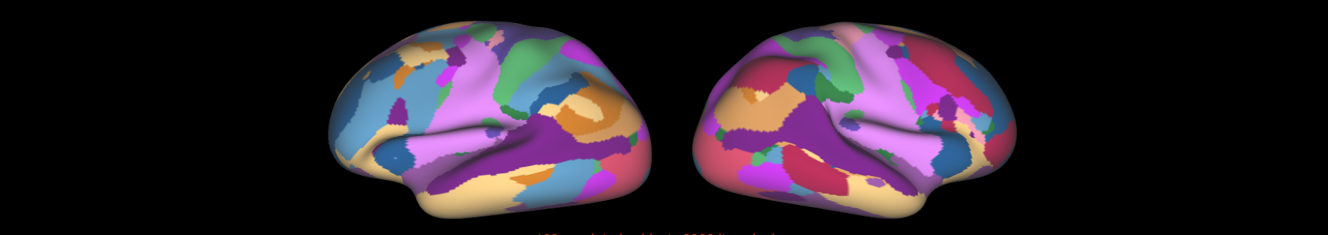 GitHub - selina-lii/fMRI_individual_parcellation: Code for the ...