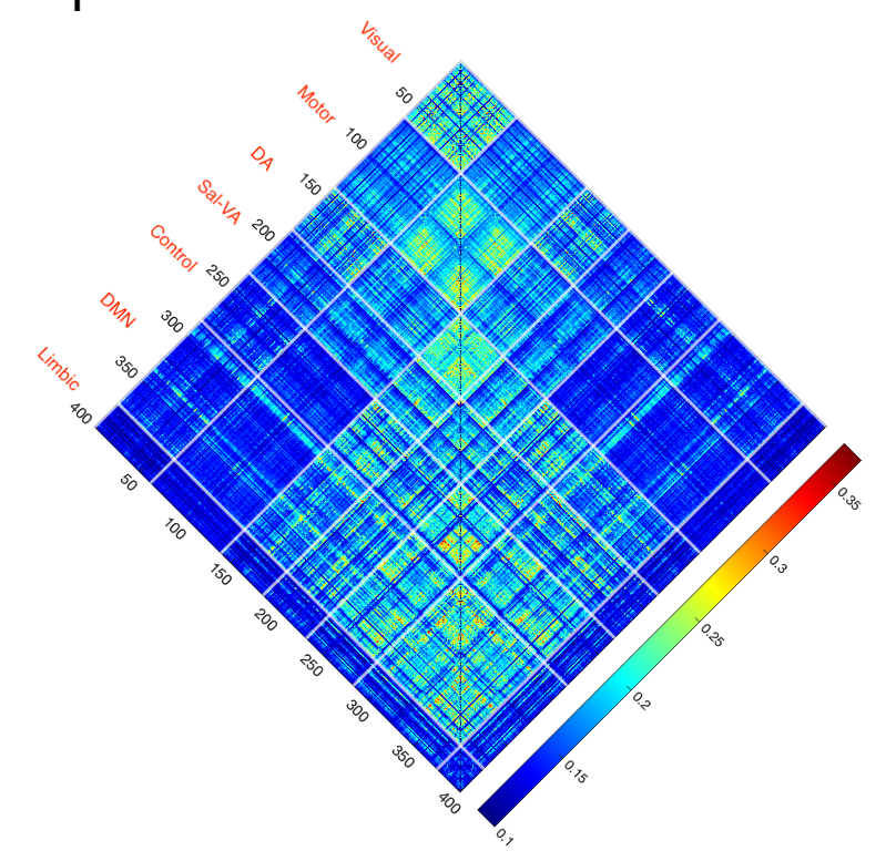 GitHub - selina-lii/fMRI_individual_parcellation: Code for the ...