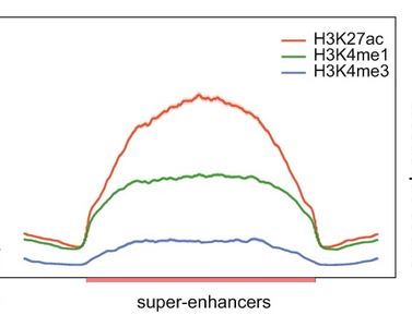 plotProfile thingy · Issue #1156 · deeptools/deepTools · GitHub