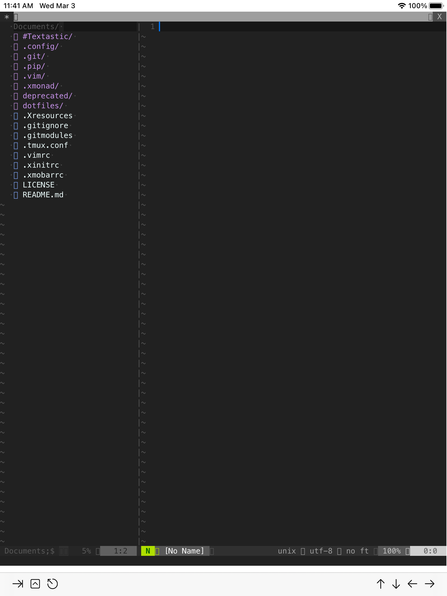 Vim layout is broken on iPadOS 14.5 · Issue #176 · holzschu/a-shell · GitHub