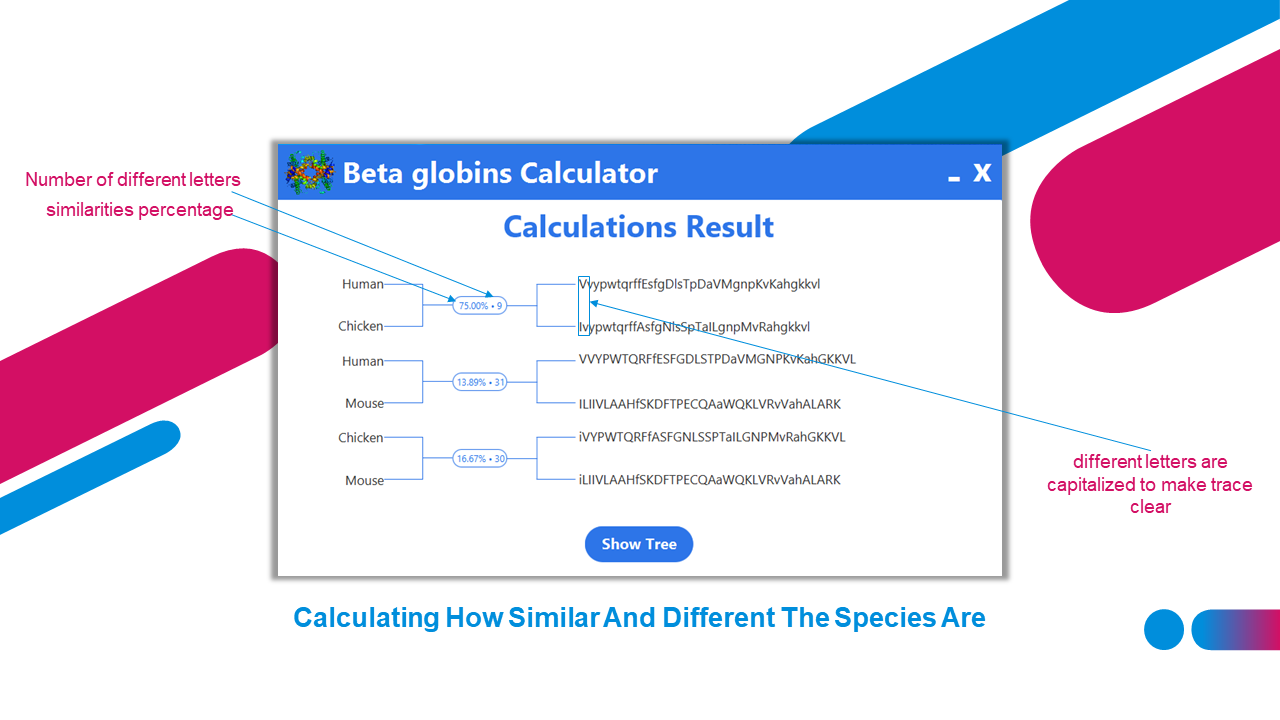 GitHub - Moha2001-dev/Beta-Globin-Calculator: Our project is about Beta ...