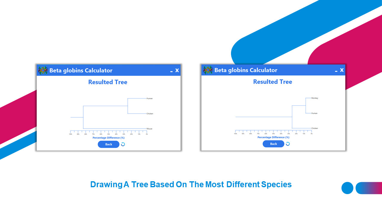 GitHub - Moha2001-dev/Beta-Globin-Calculator: Our project is about Beta ... GitHub - Moha2001-dev/Beta-Globin-Calculator: Our project is about Beta ...