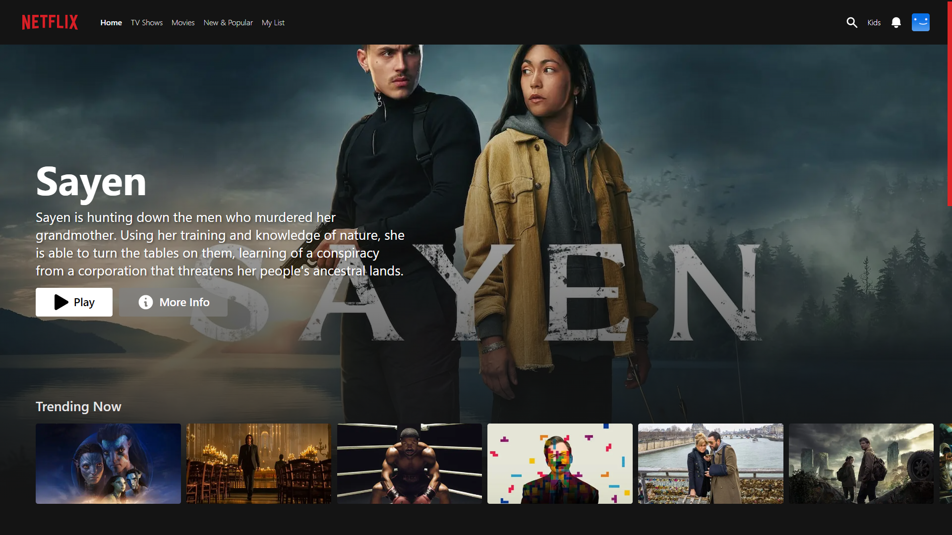 GitHub - Aseem5047/netflix