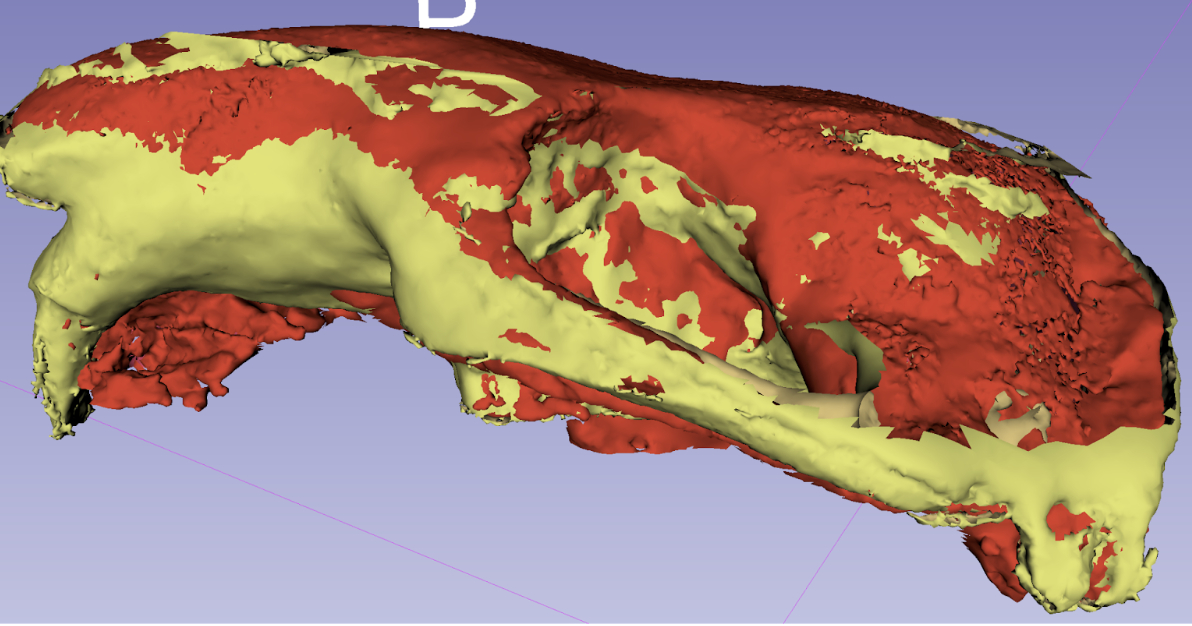 General model registration and merging tool · Issue #688 · NA-MIC ...