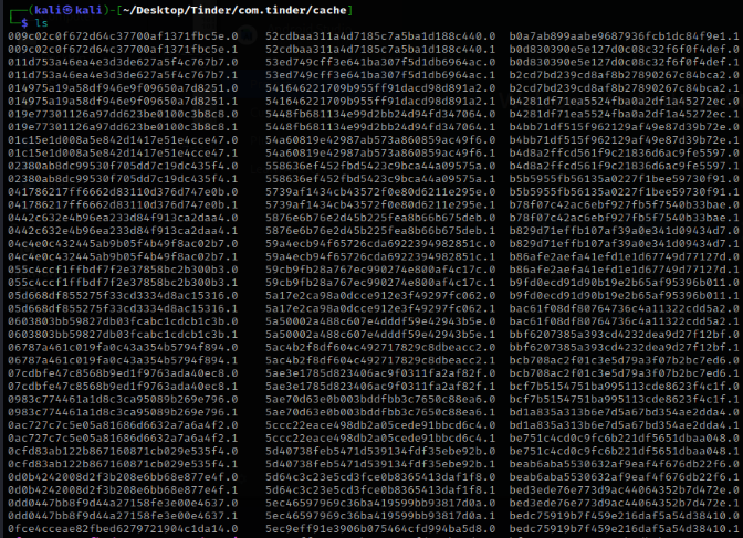 GitHub - plue0709/Specialized_Project
