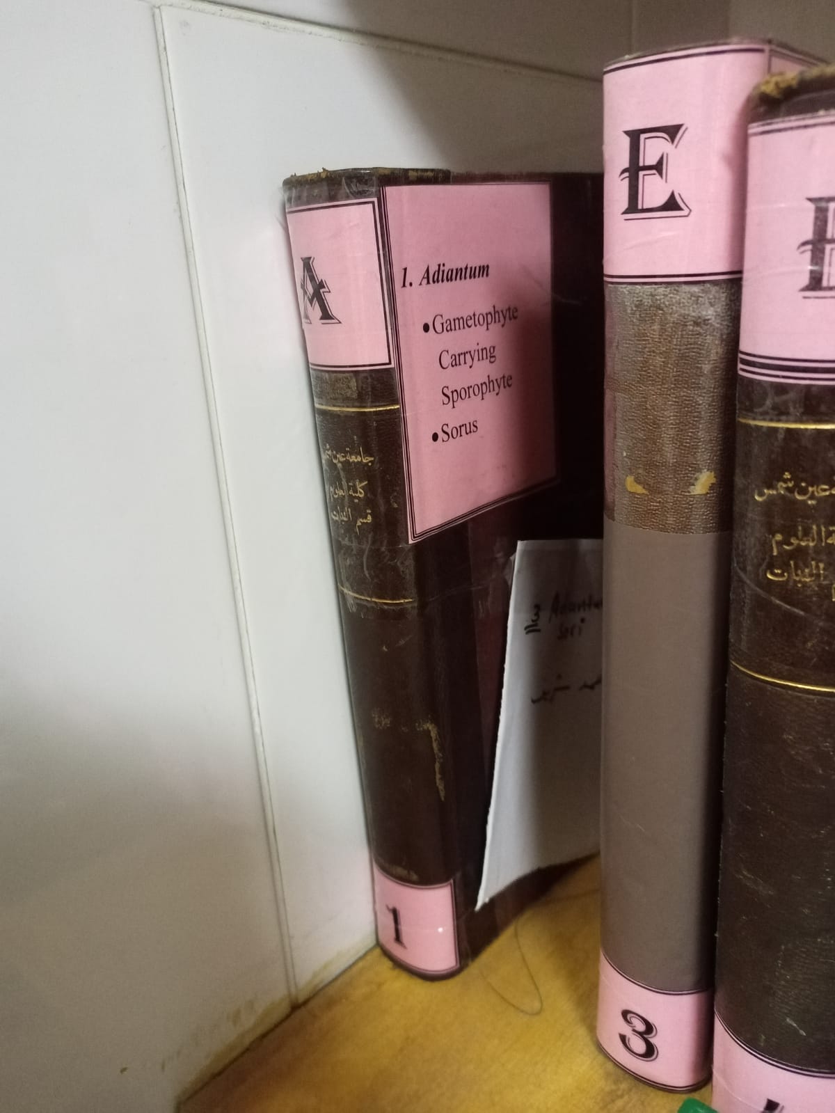 GitHub - hagar-abdelaliem/graduation_project