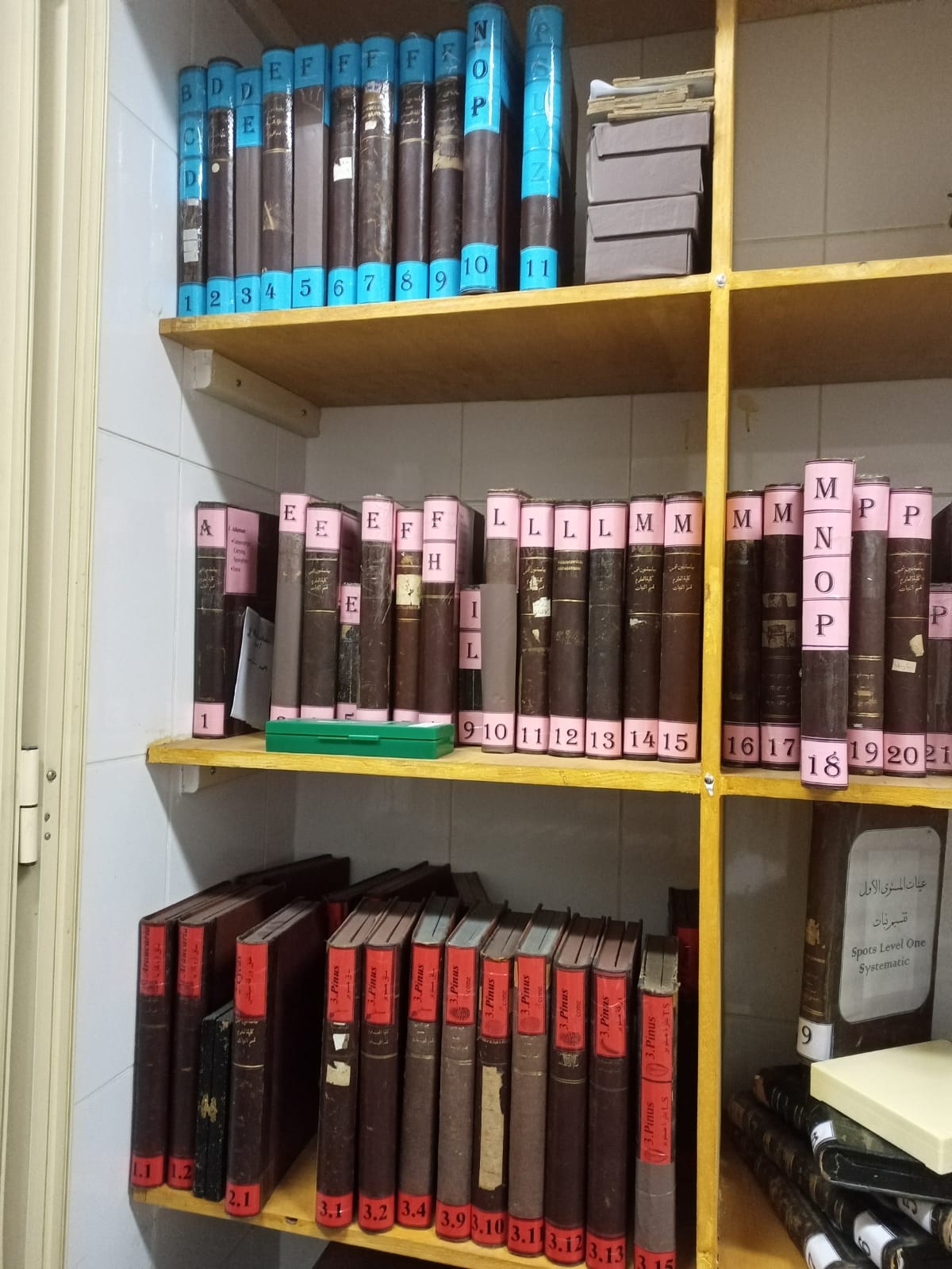 GitHub - hagar-abdelaliem/graduation_project