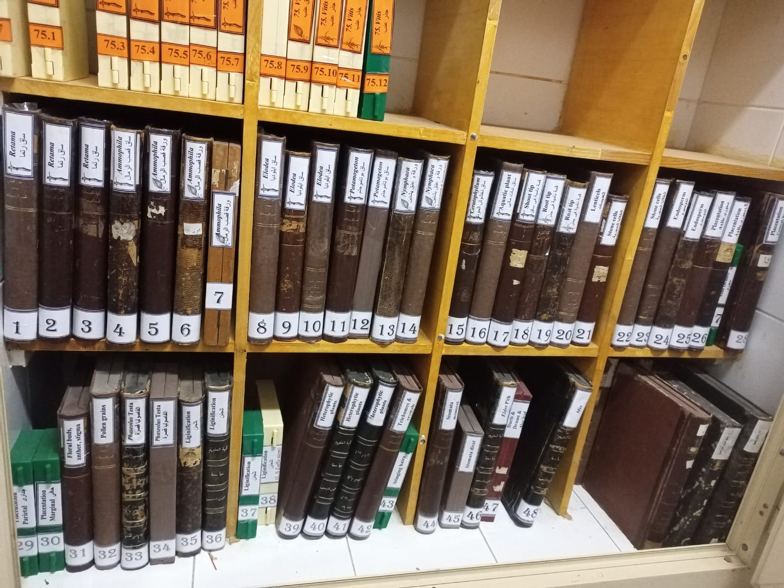 GitHub - hagar-abdelaliem/graduation_project