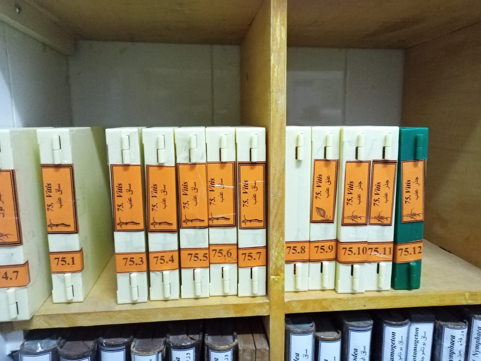 GitHub - hagar-abdelaliem/graduation_project