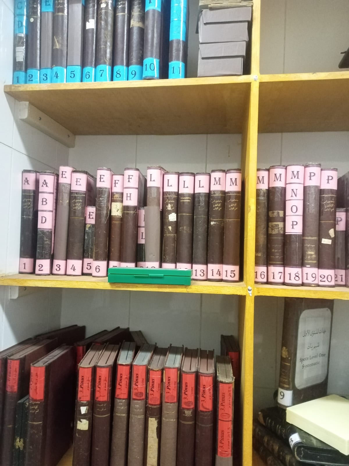 GitHub - hagar-abdelaliem/graduation_project