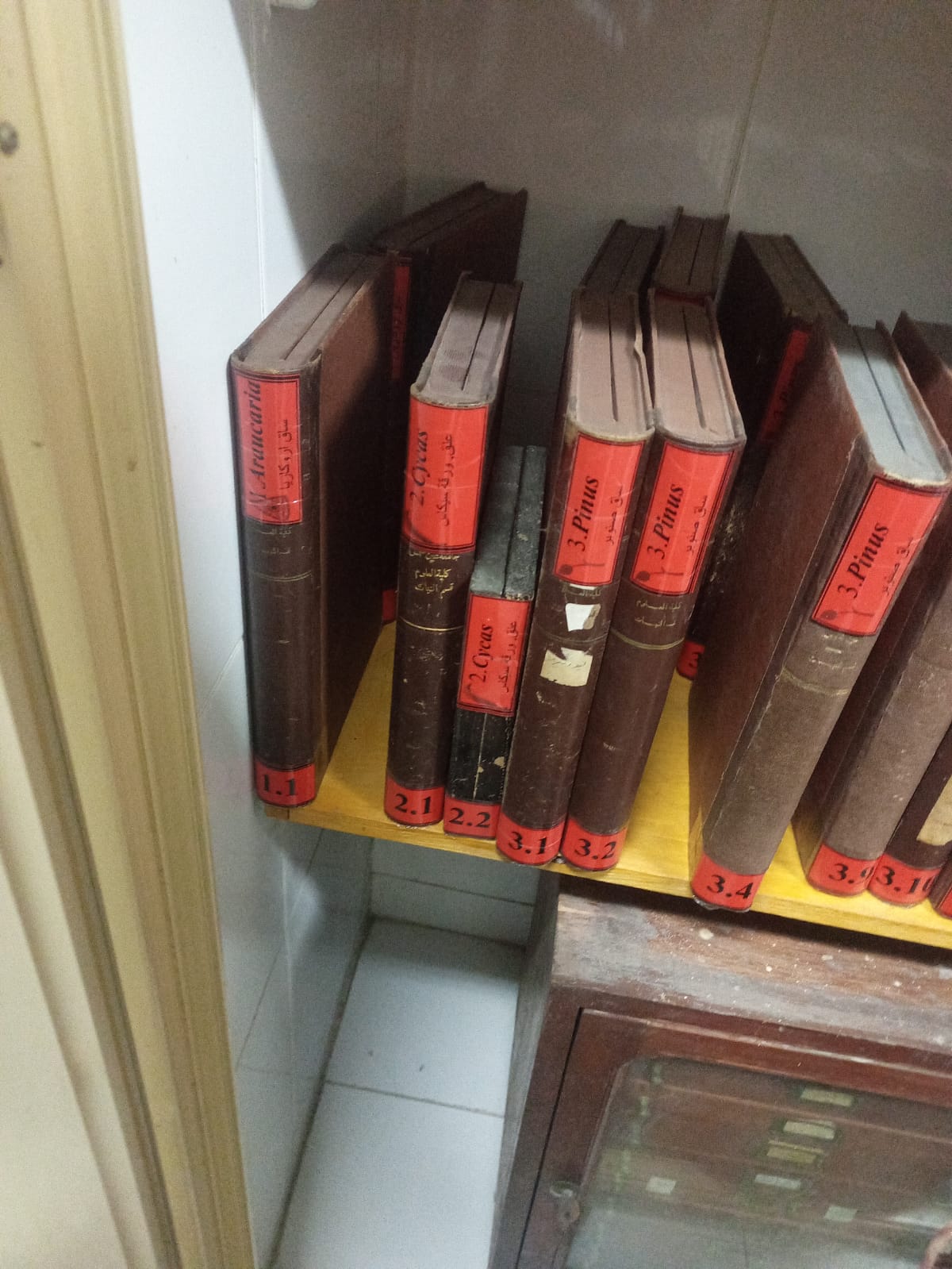 GitHub - hagar-abdelaliem/graduation_project