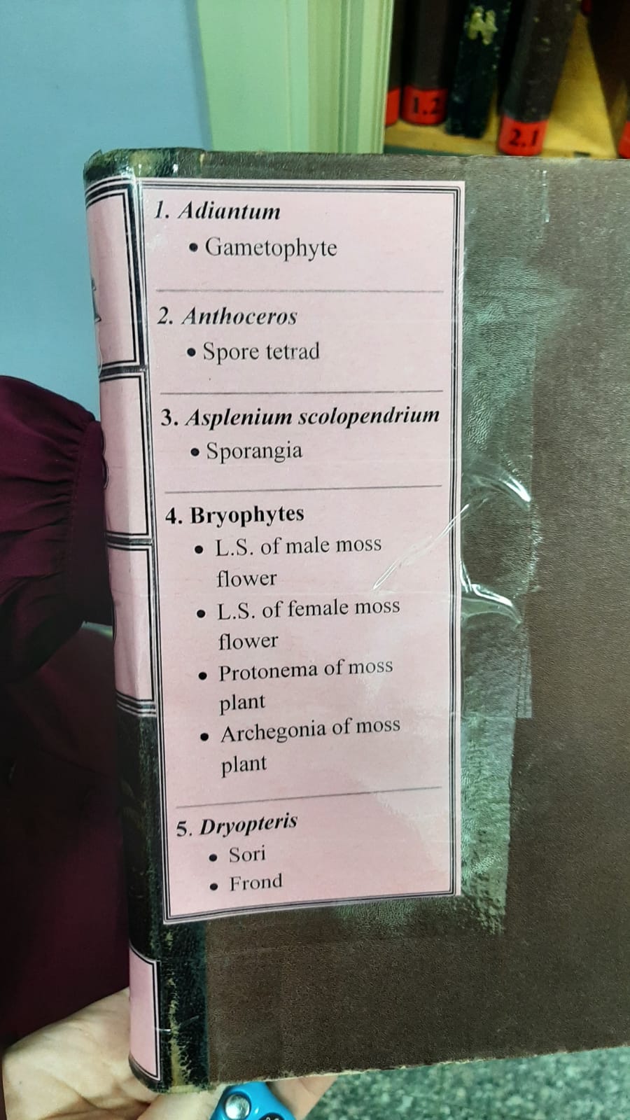 GitHub - hagar-abdelaliem/graduation_project