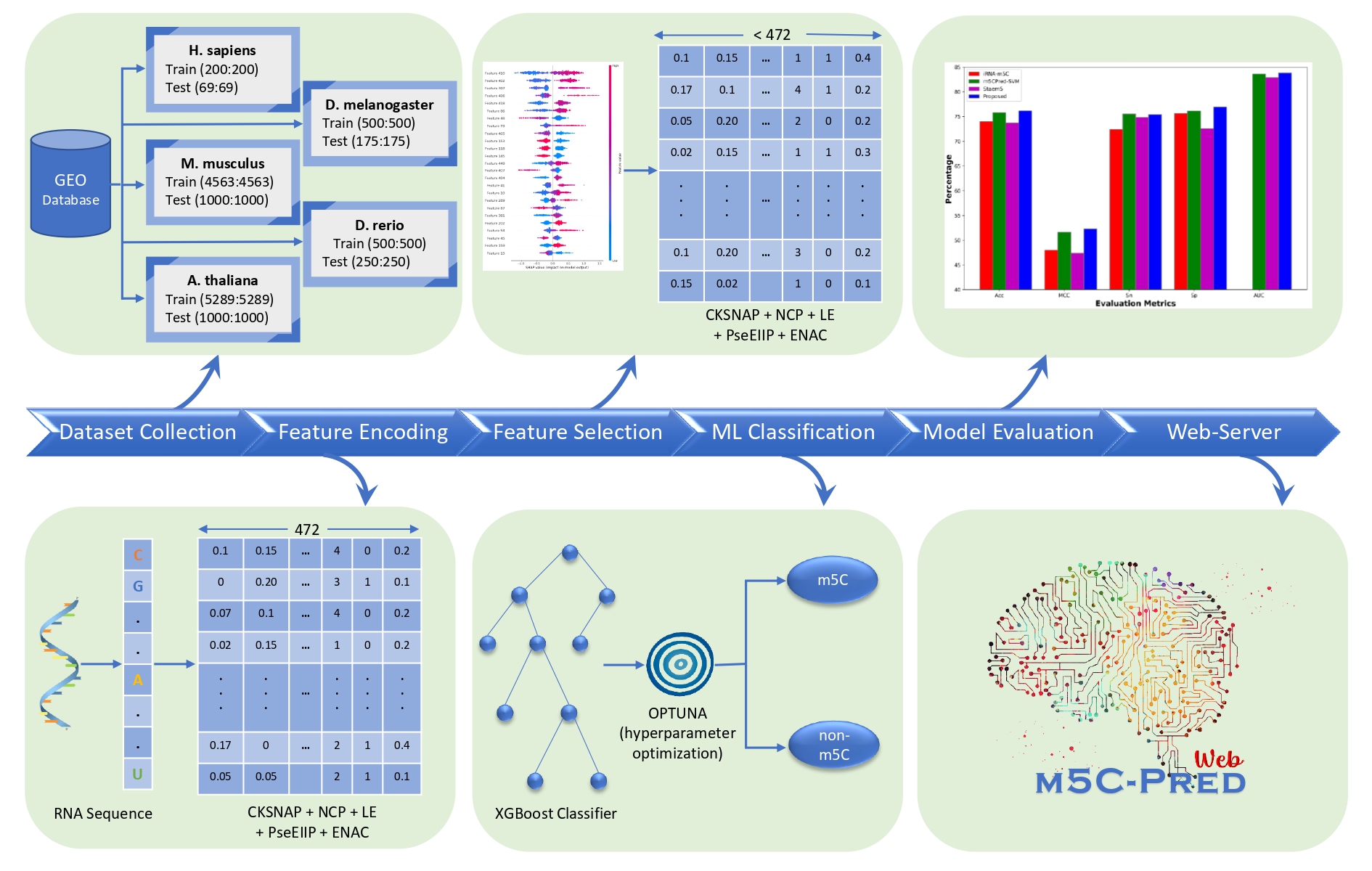 GitHub - Z-Abbas/m5C-pred: XGBoost Framework with Feature Selection for the Prediction of RNA N5 ...