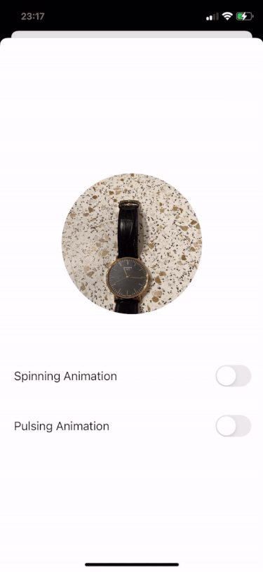 GitHub - mauromonti41/UIKit-SwiftUI-Camera-App: This is an Artifact for ...