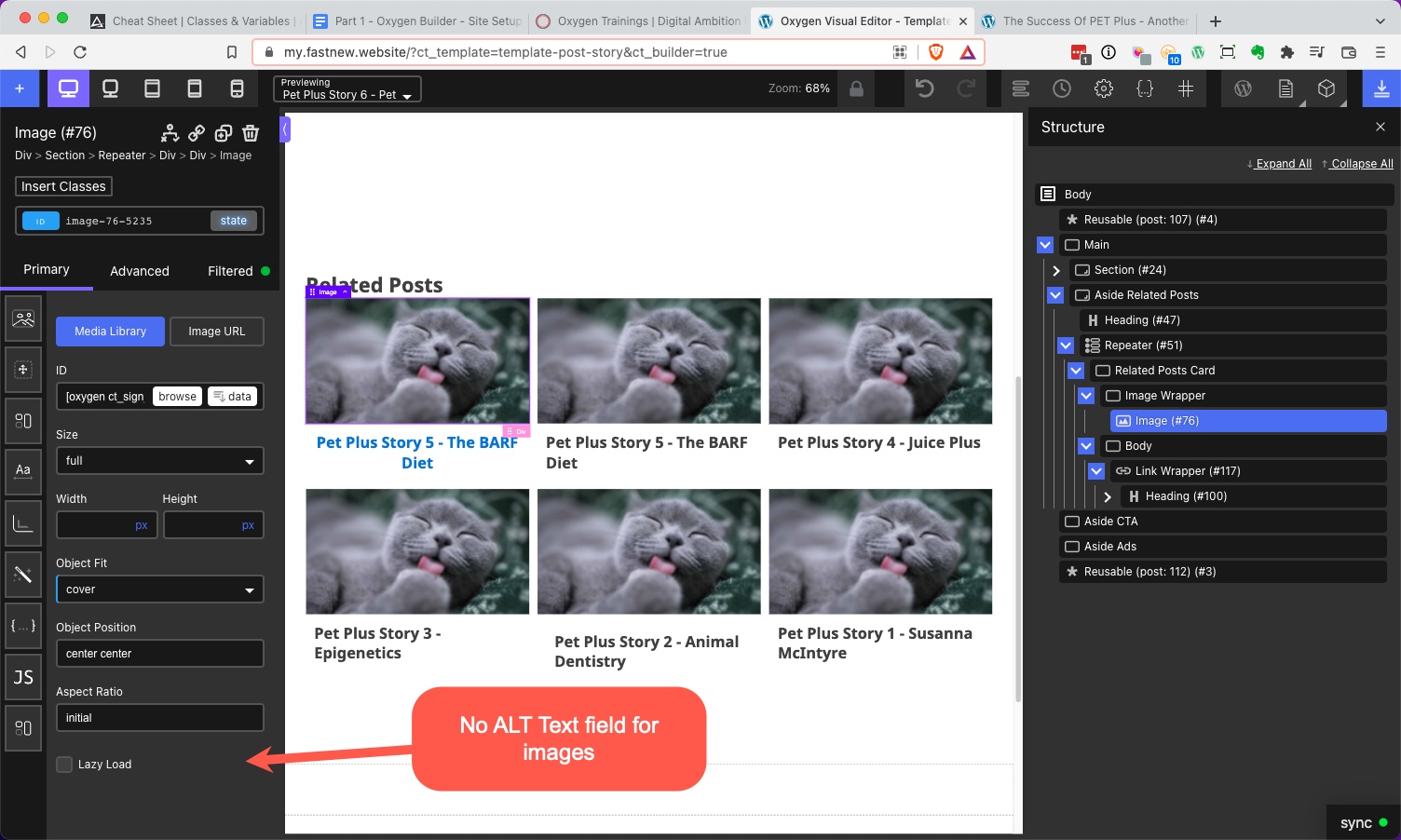 Oxygen V4.0 Beta 2 : Alt Text Field Missing · Issue #2852 · soflyy/oxygen-bugs-and-features · GitHub