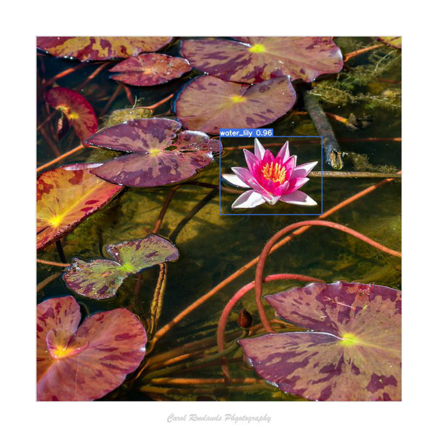 GitHub - SerhatTurann/CustomObjectDetectionWithYoloV7