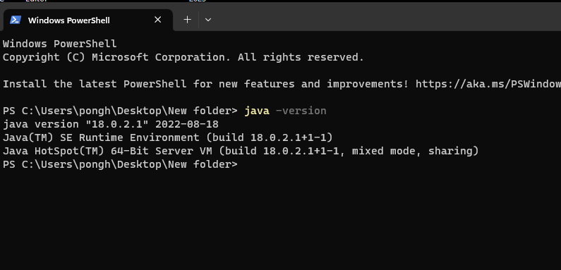FFXIVChnTextPatch-GP.exe 下載後啟動失敗 · Issue #361 · GpointChen ...