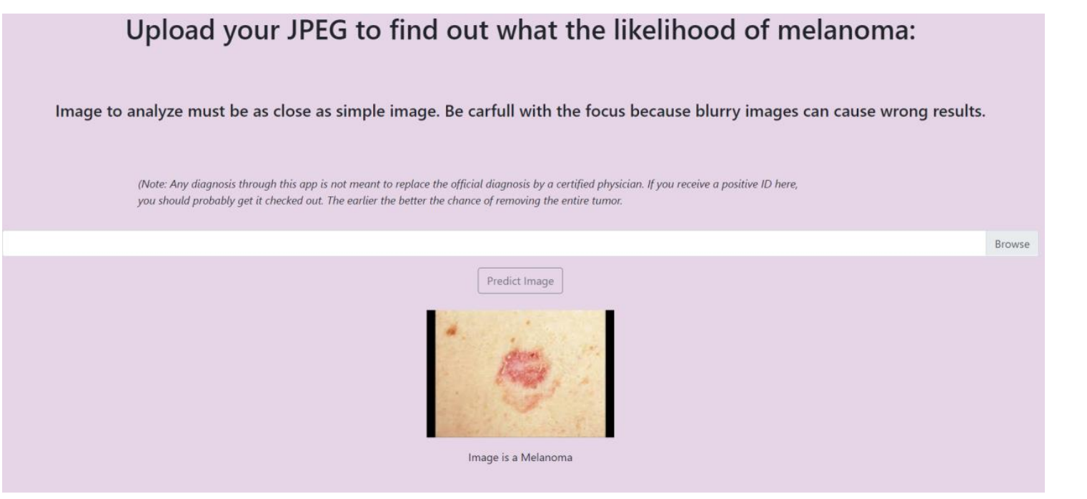 GitHub - yasmine01545/Skin-cancer-Diseases-Classification-using ...