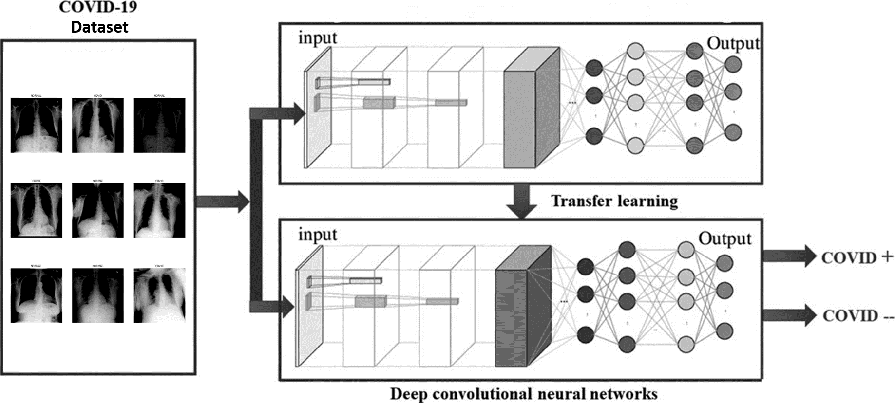 GitHub - vectornguyen76/covid19-Xray-images-classification: Covid19 X ...