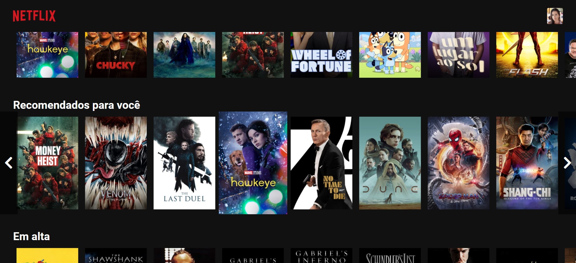 GitHub - alofrrr/Clone-Interface-Netflix: Projeto realizado utilizando ...