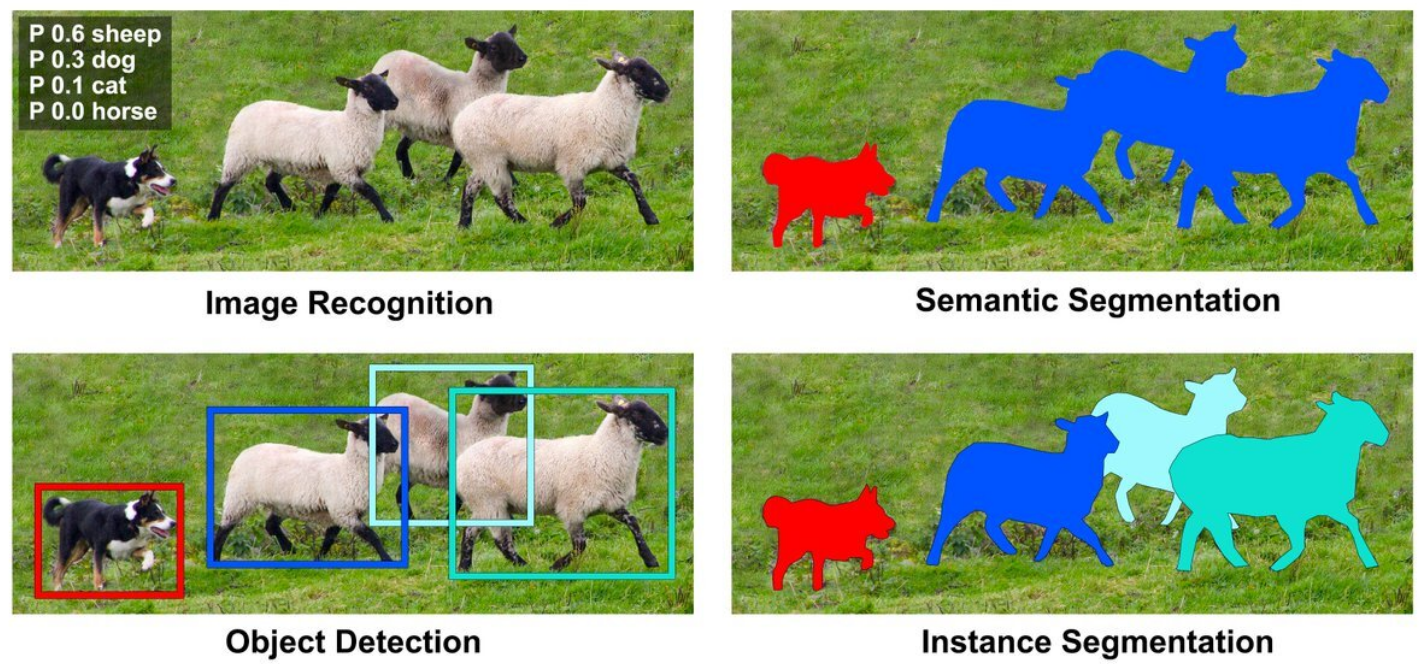 GitHub - so45jj45/NNproject_KU_Instance-Segmentation