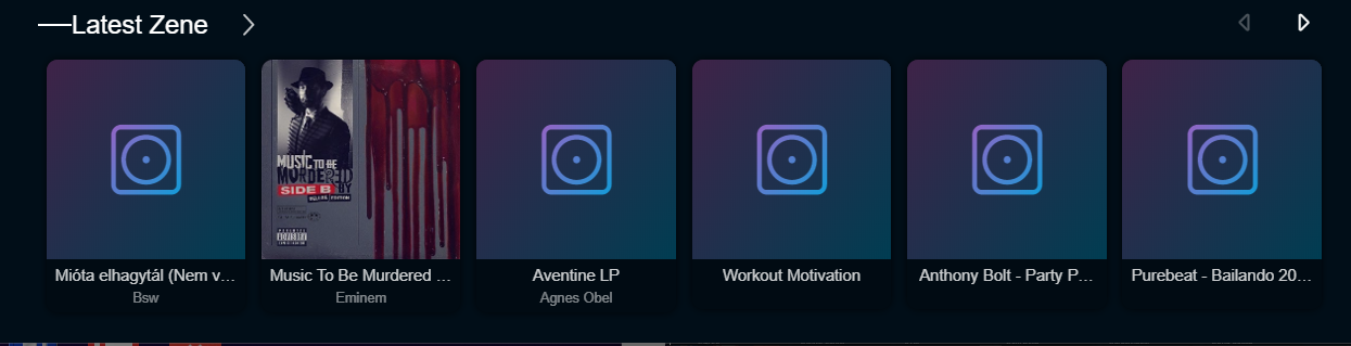 UI Elements Missing · Issue #96 · prayag17/JellySkin · GitHub