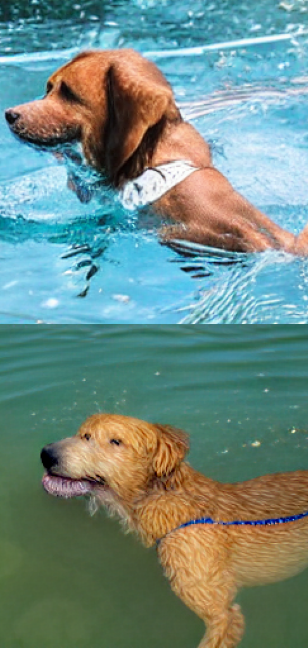 GitHub - jigarvyasidea/IM-LY