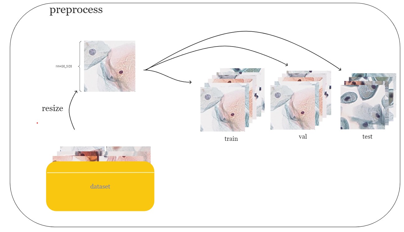 GitHub - Knowlv9/Cyto_Anomaly_GAN: Anomaly detection for Cytology screening